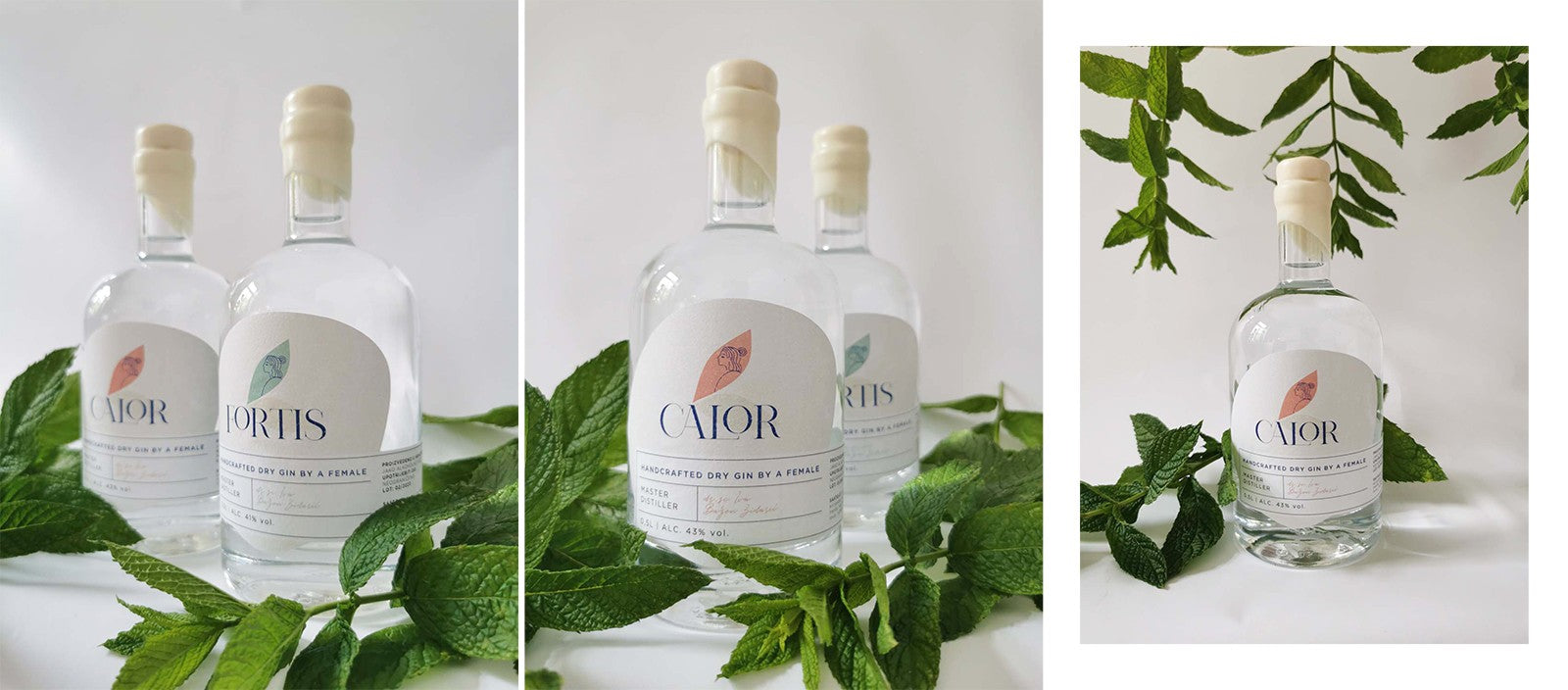 Gin je IN. Women Power. Milina od Gina. Ženski GIN. Čin. – Kasheta